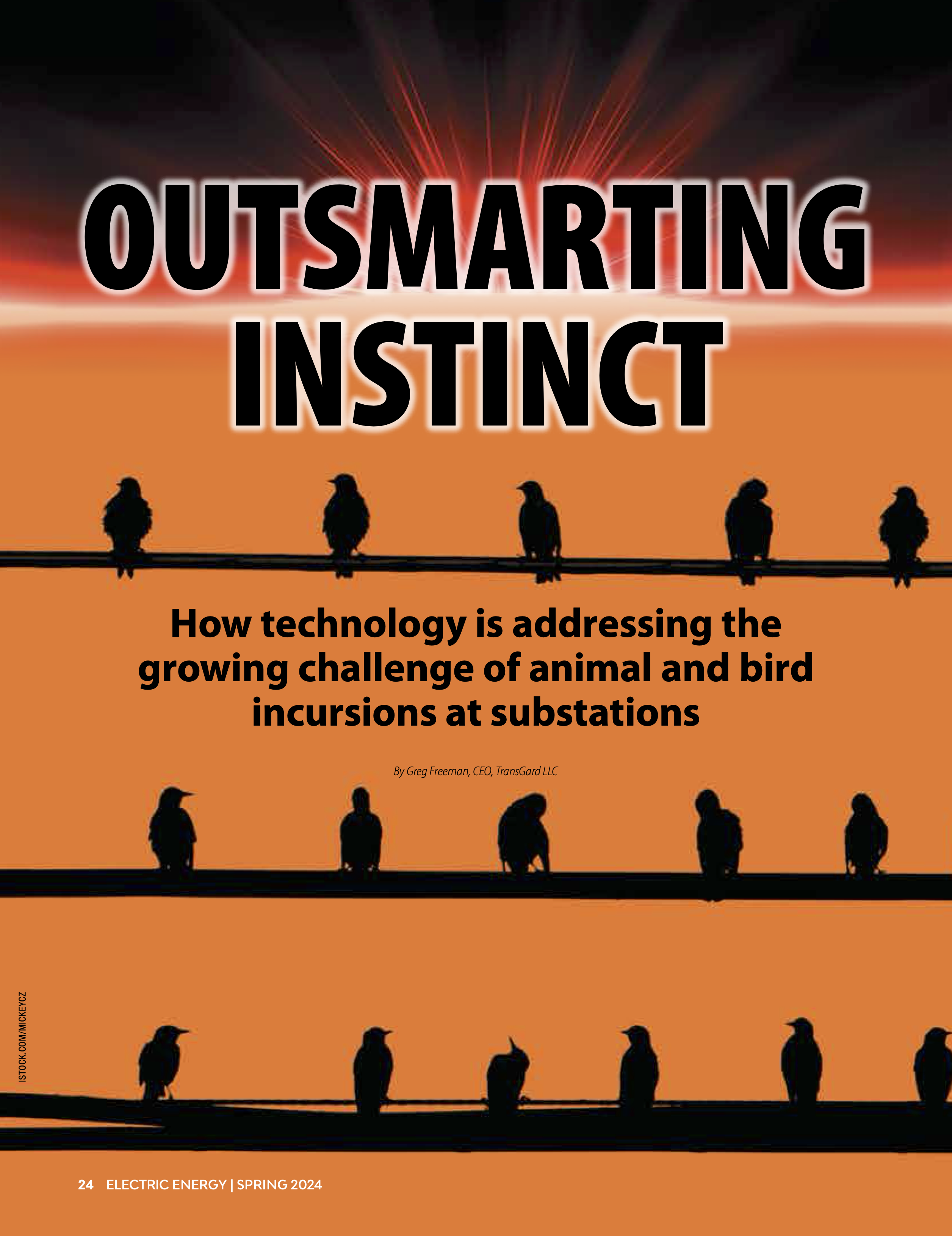 TRANSGARD ARTICLE ON ANIMAL INCURSIONS PUBLISHED IN ‘ELECTRIC ENERGY ...